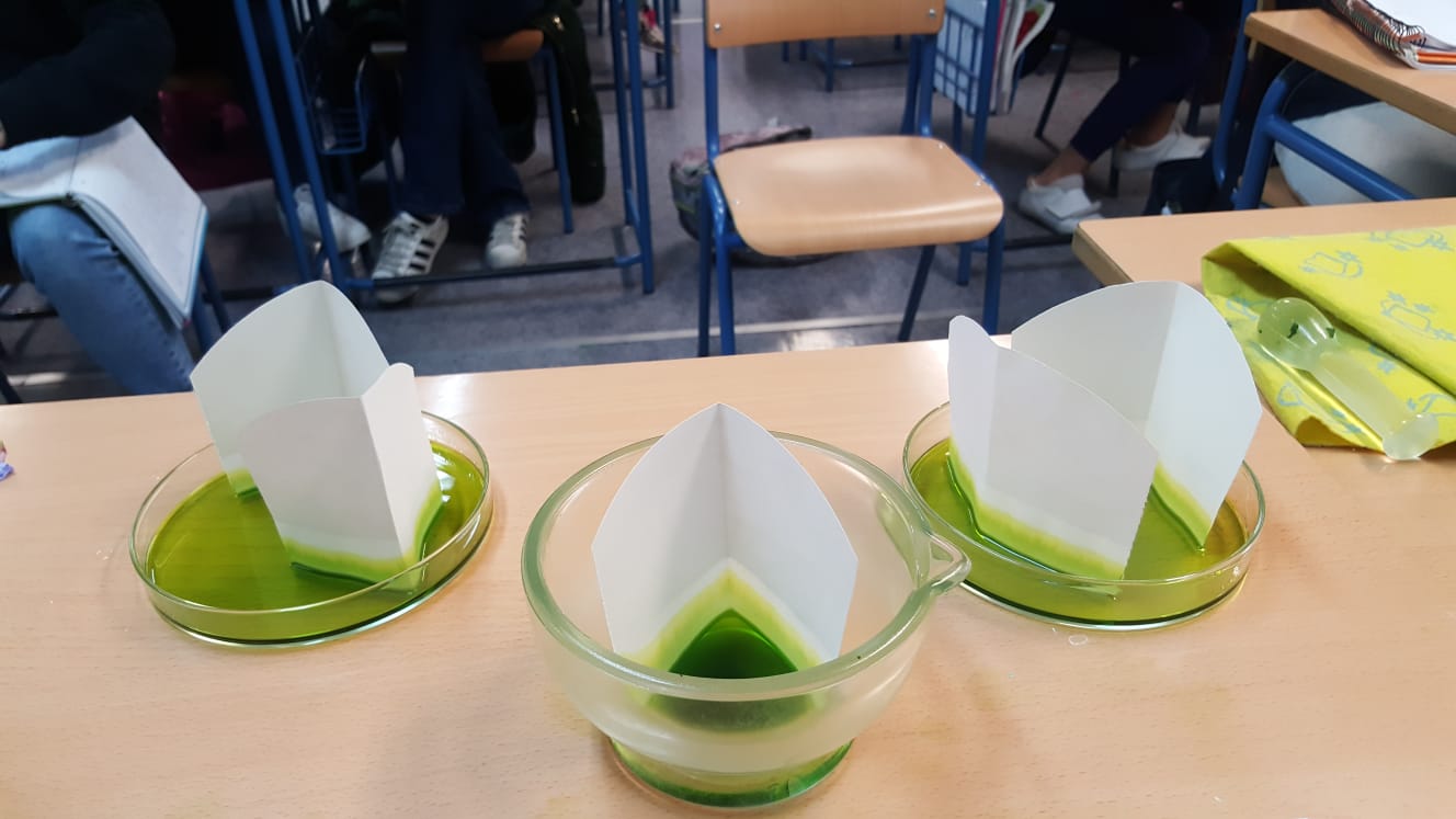 Las plantas: actividades para afianzar conocimientos. – Proyecto Simbiosis