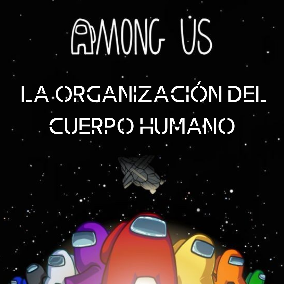 Unidad Didáctica: La organización del ser humano con Among Us ...
