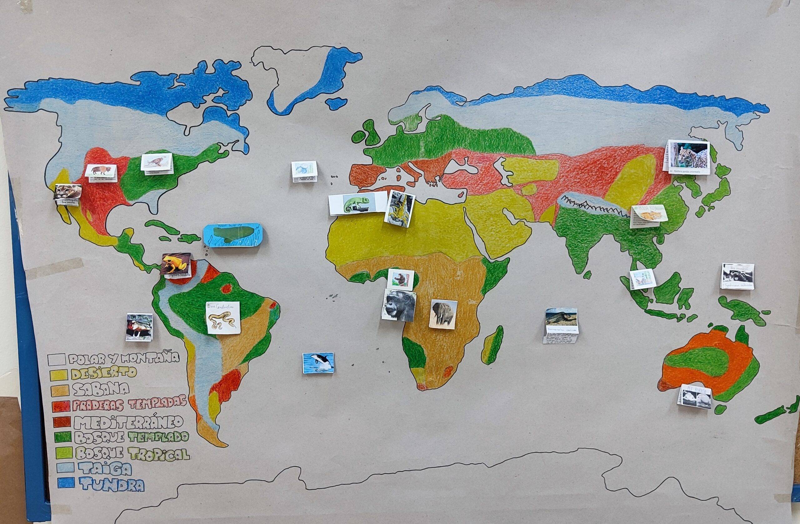 Zoogeografía: ¿Dónde viven los animales? – Proyecto Simbiosis