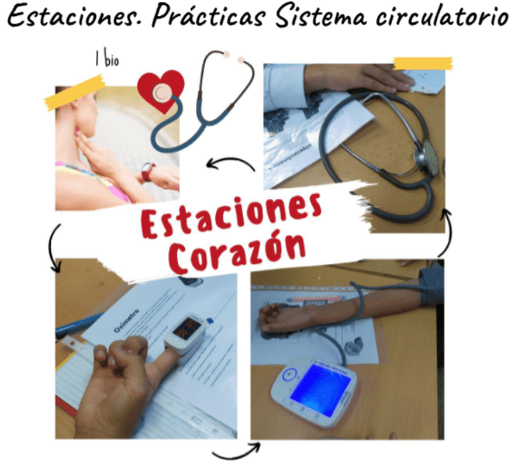 Estaciones de aprendizaje en el aula de Biología y Geología – Proyecto ...